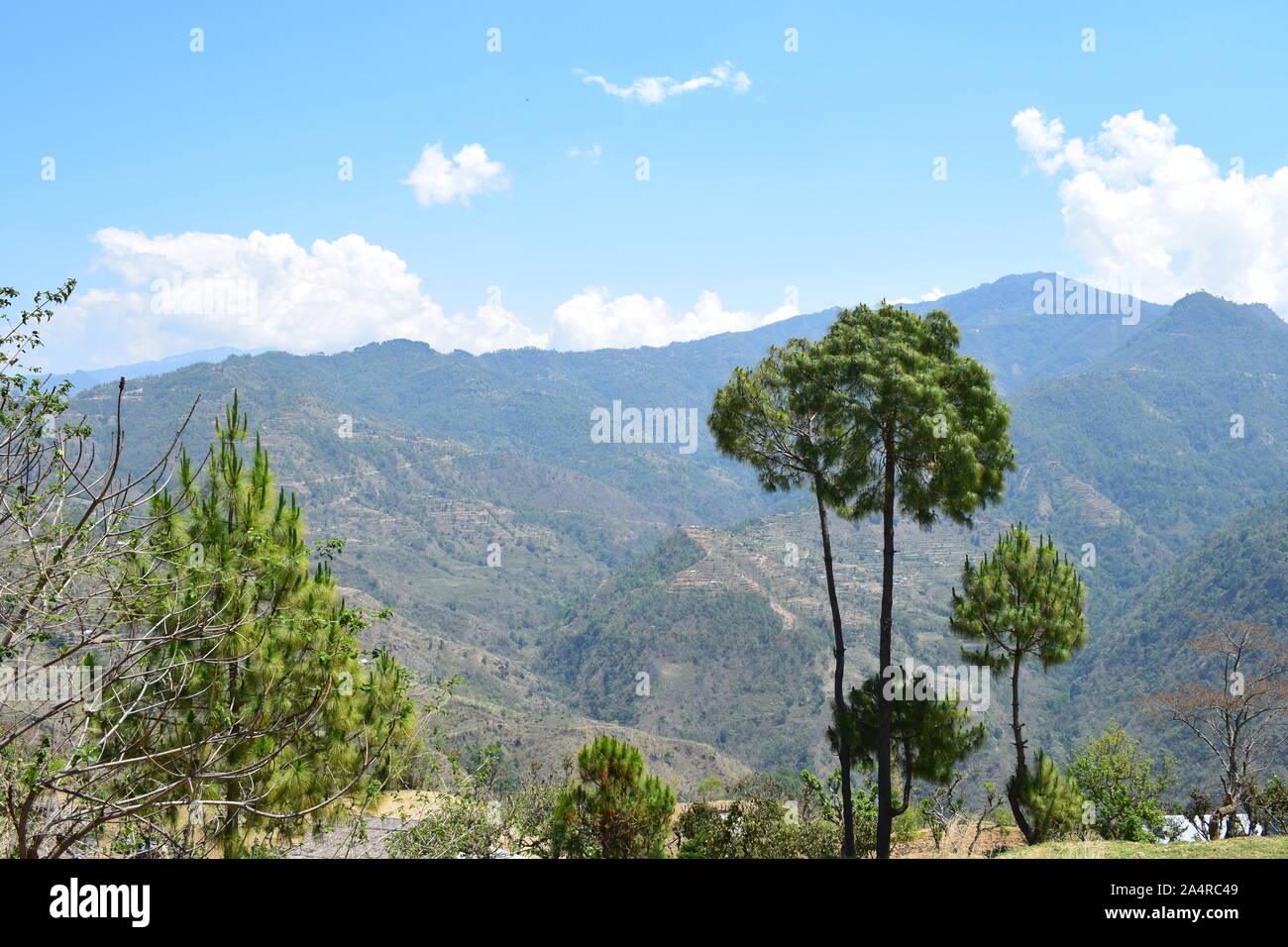 Beautiful landscape in eastern part of Nepal hillside Stock Photo - Alamy