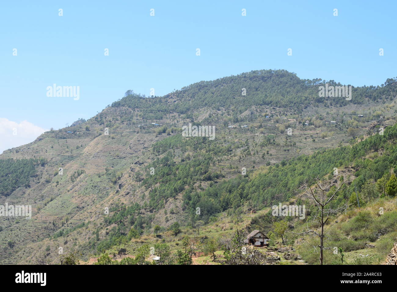 Beautiful landscape in eastern part of Nepal hillside Stock Photo - Alamy