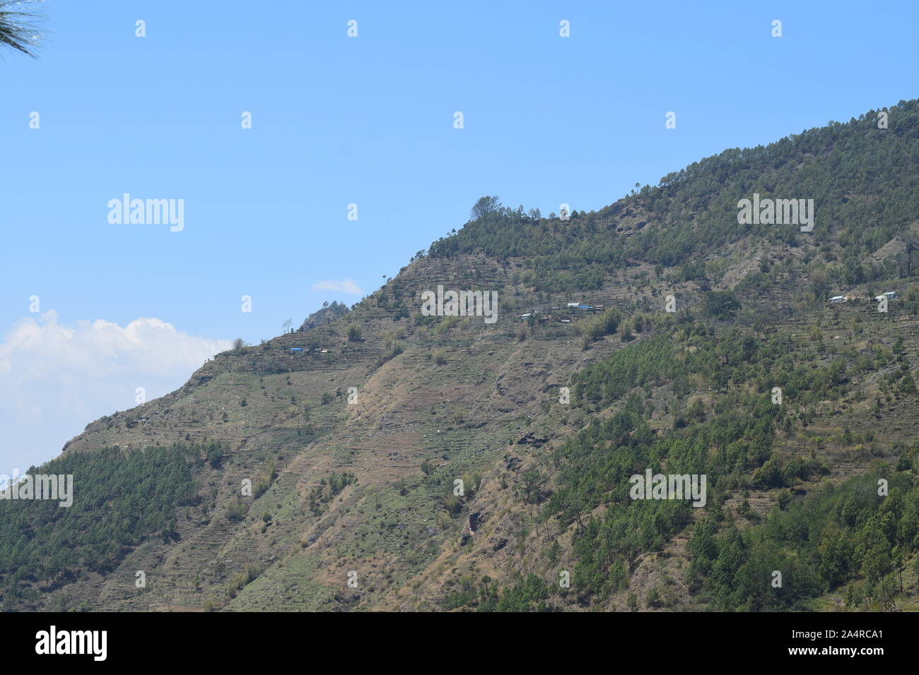 Beautiful landscape in eastern part of Nepal hillside Stock Photo - Alamy