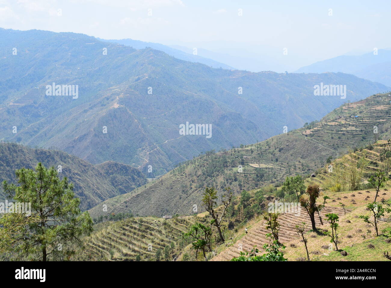 Beautiful landscape in eastern part of Nepal hillside Stock Photo - Alamy