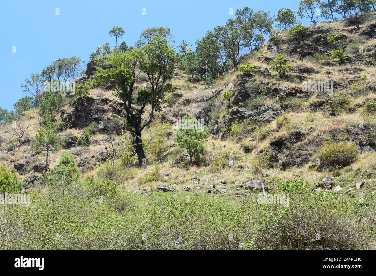 Beautiful landscape in eastern part of Nepal hillside Stock Photo - Alamy