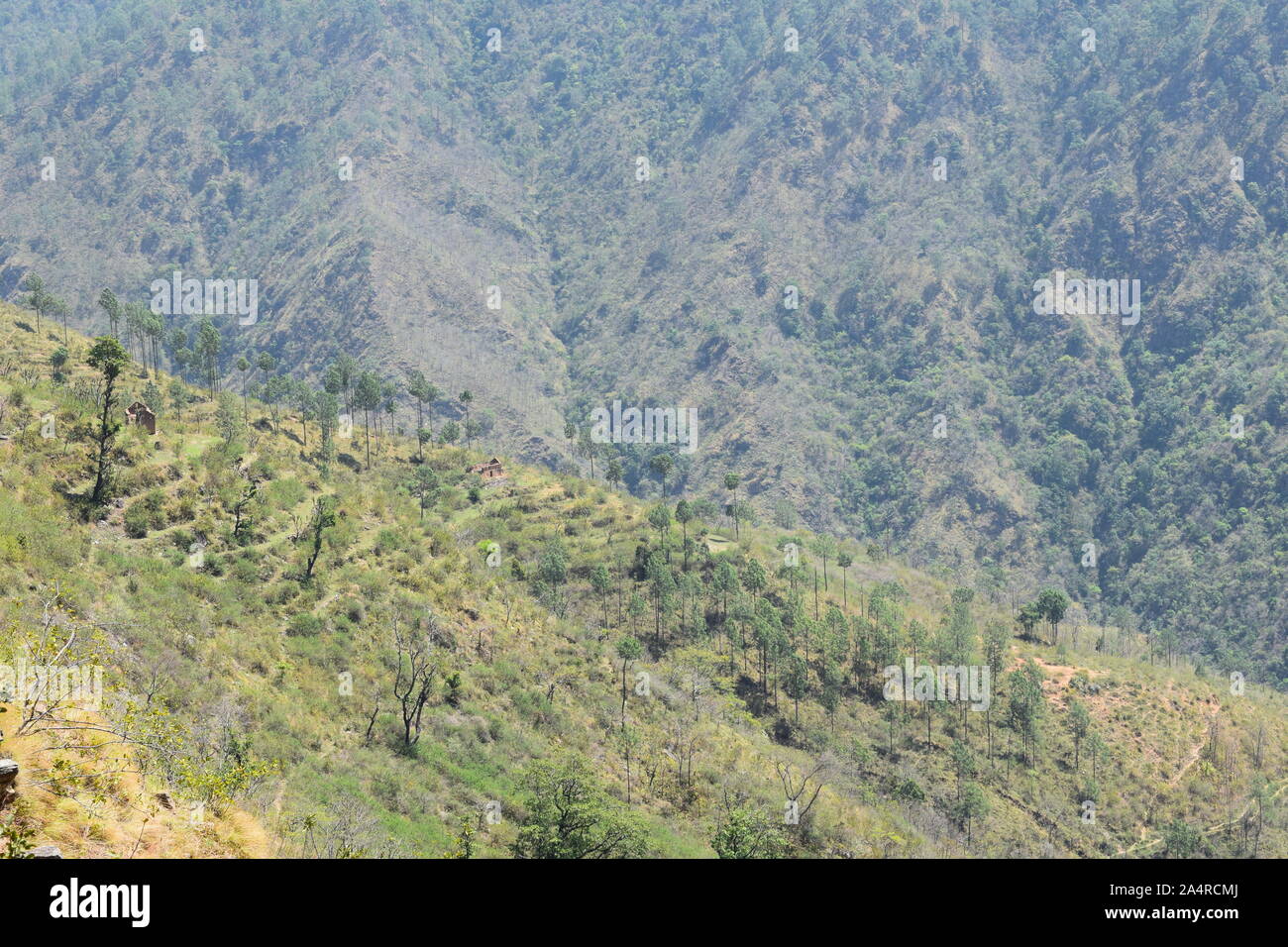 Beautiful landscape in eastern part of Nepal hillside Stock Photo - Alamy