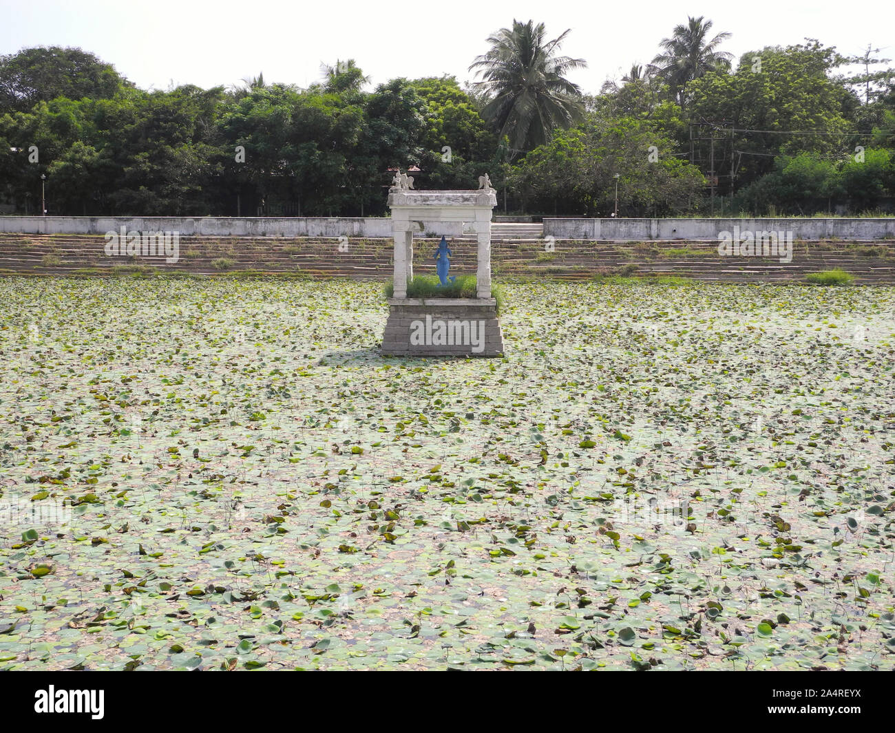Temple pond of an ancient Indian temple, Tamil Nadu, Mahabalipuram city ...