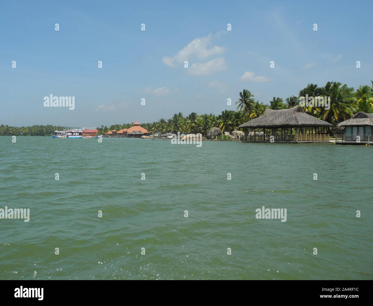 Backwaters and coconut palms, Trivandrum, Kerala, India Stock Photo - Alamy
