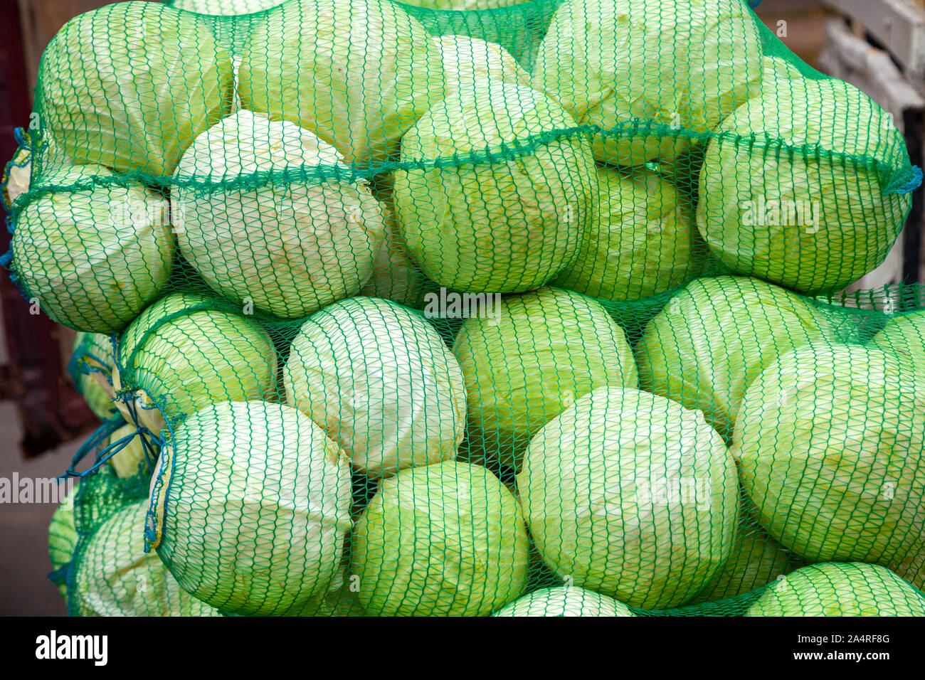 White cabbage in bags at the market. Tasty fresh raw cabbage in a mesh ...