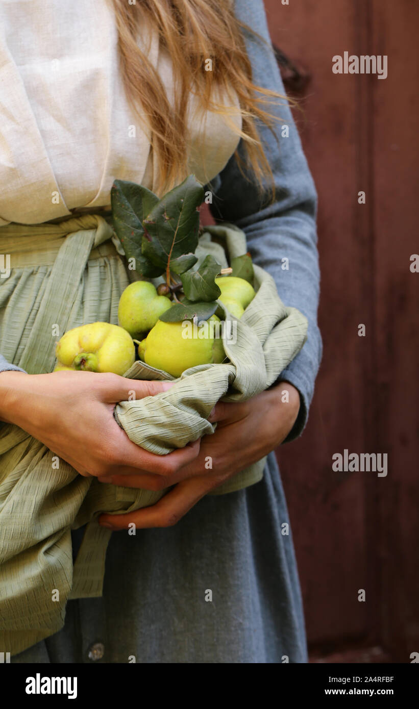 natural organic quince with green leaves Stock Photo - Alamy