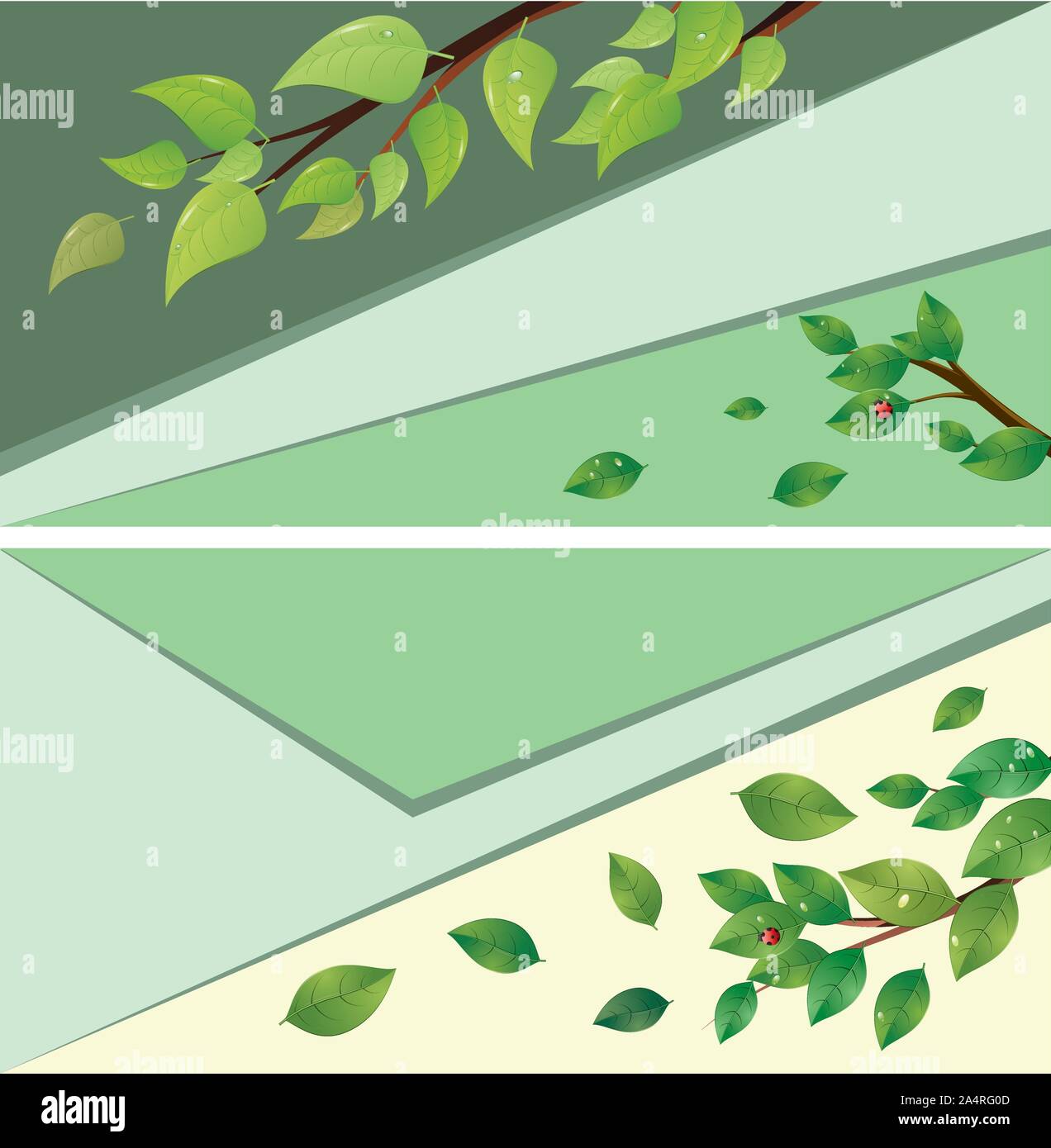 Spring, summer themed banner with green leaves on a tree branch Stock ...