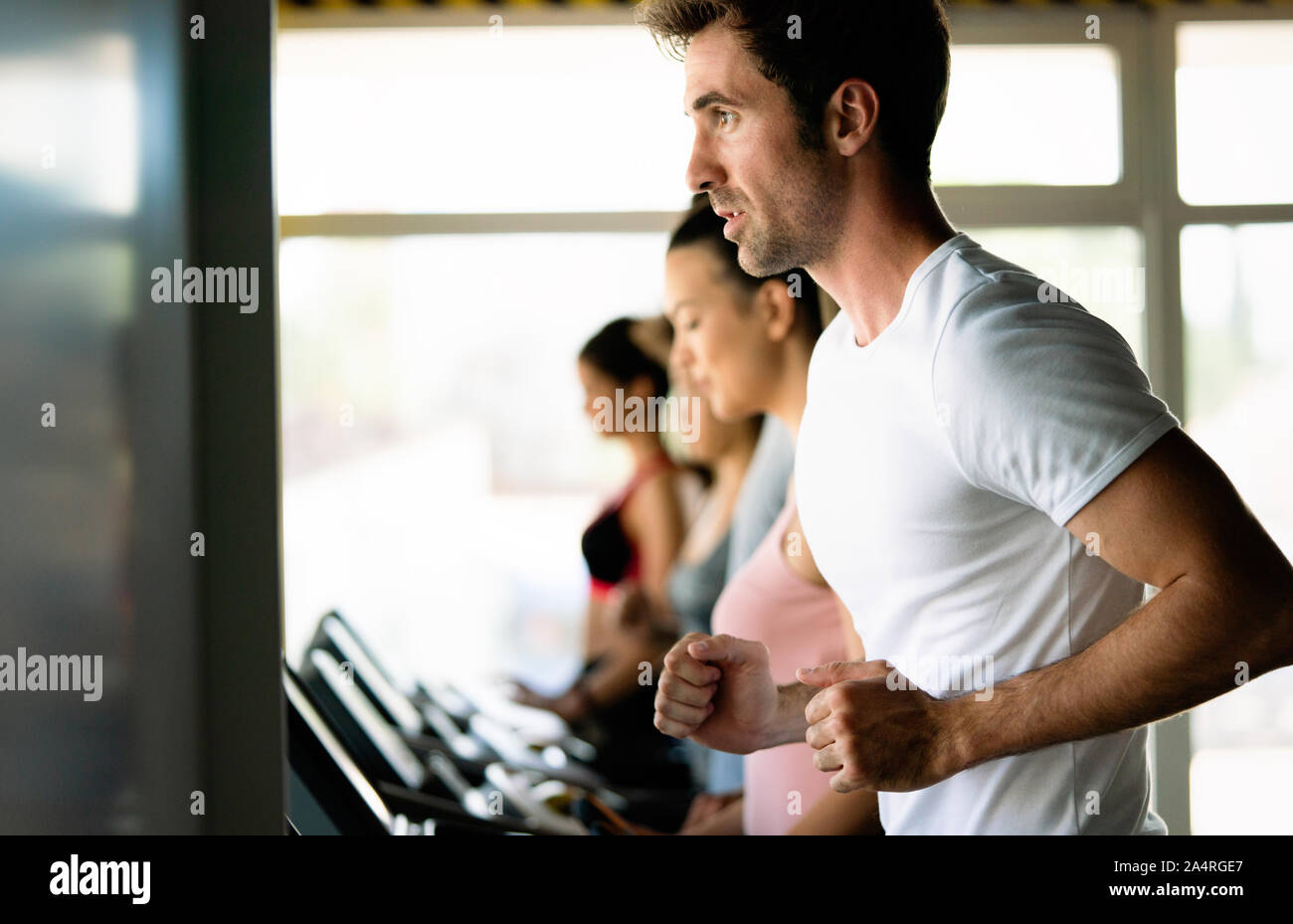 Group of young people running on treadmills in modern sport gym Stock ...