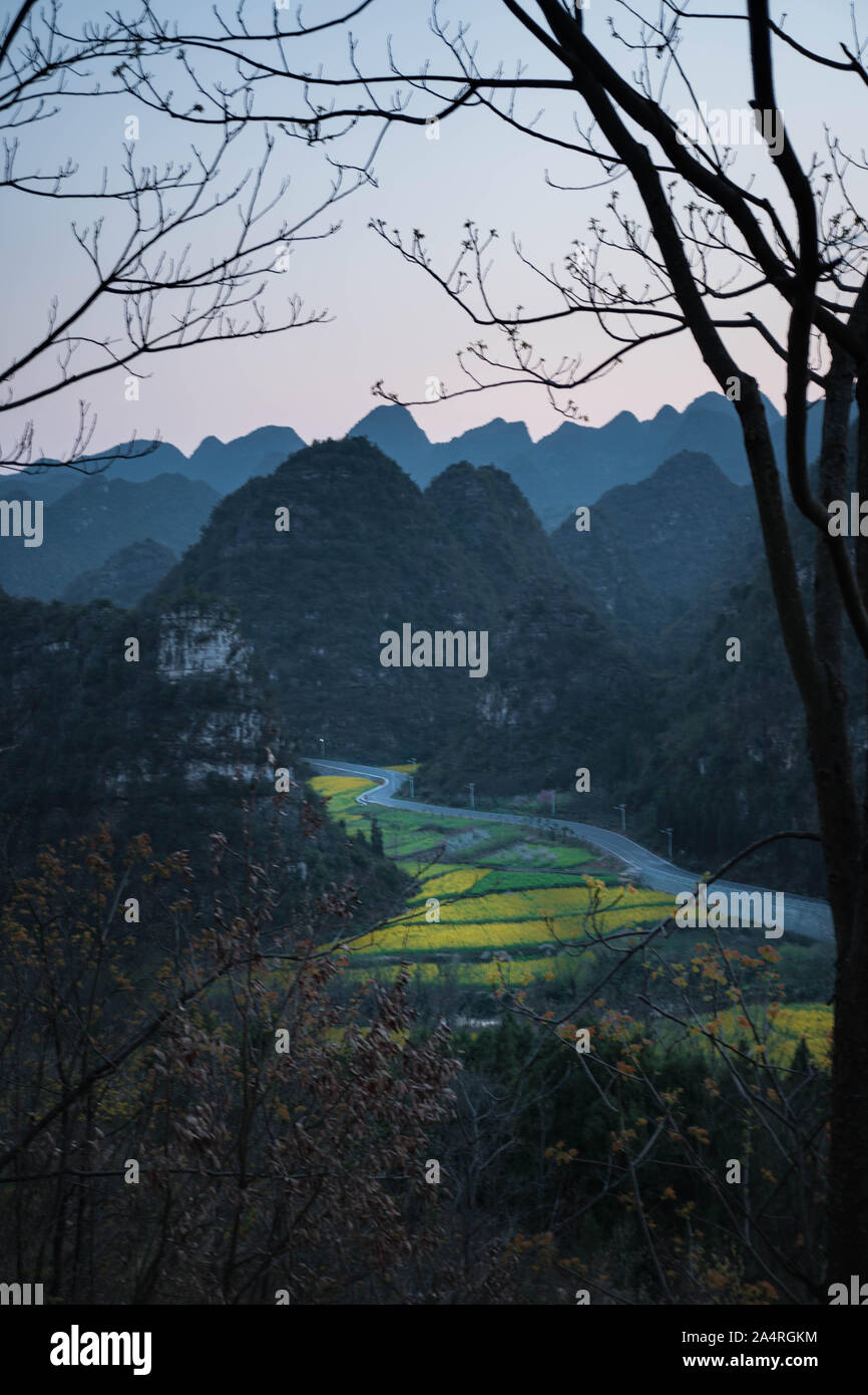 Sunset with Rapeseed flower field at Wanfenglin National Geological ...
