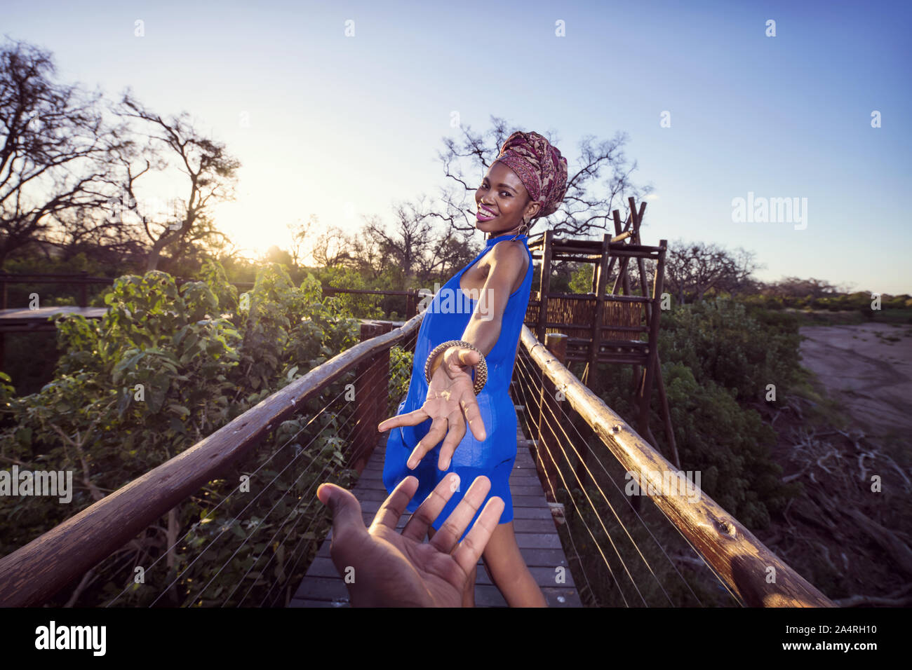 A woman reaching back to hold her partners hand on a treetop walk Stock ...