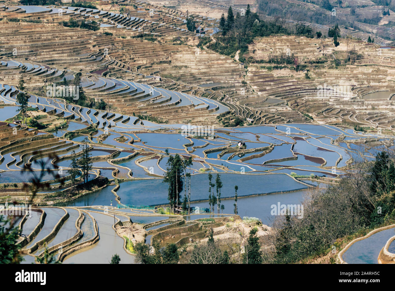 Beautiful yuanyang terraced fields hi-res stock photography and images ...