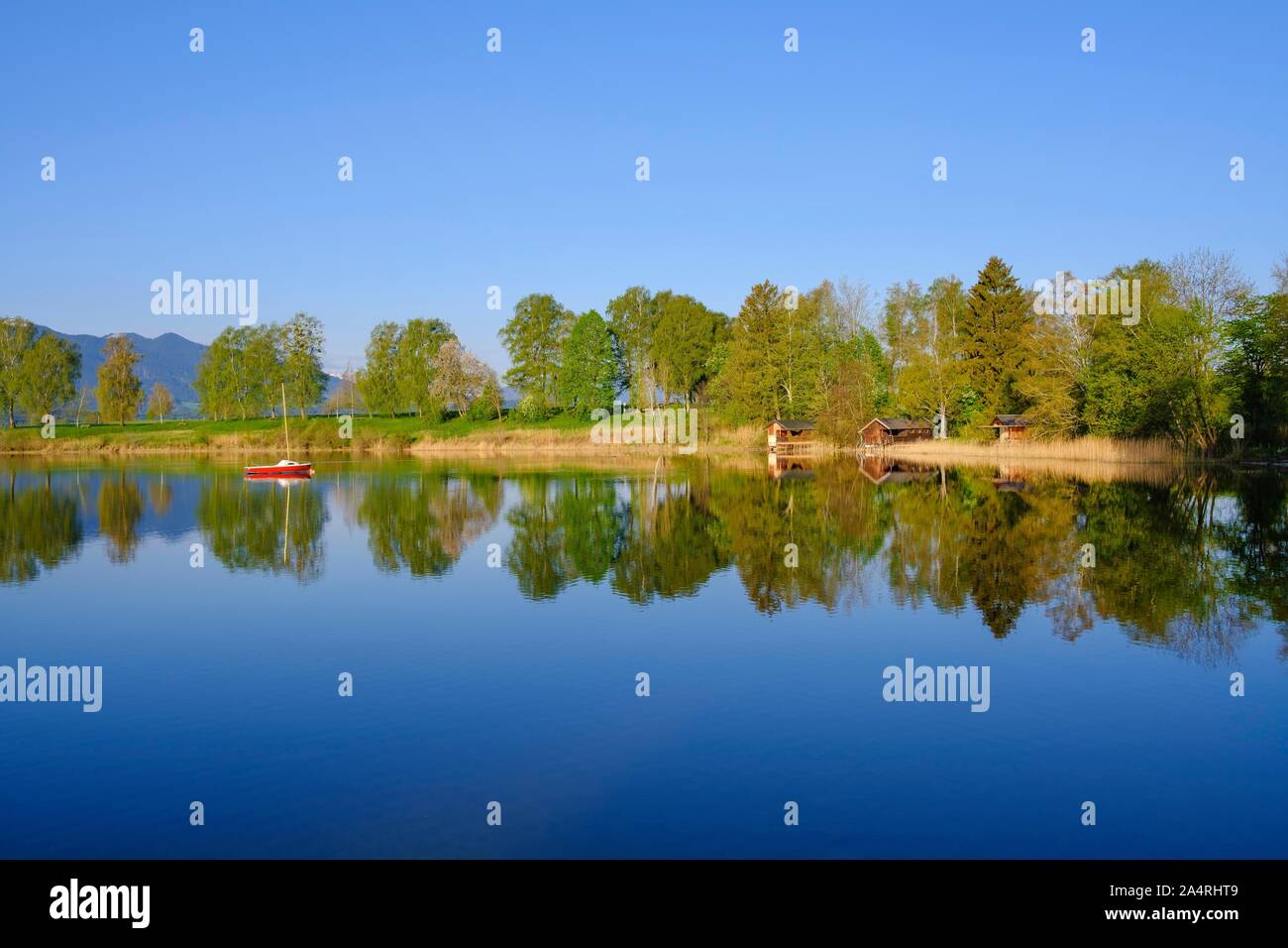 Lake shore of Lake Staffelsee in Uffing am Staffelsee, Alpine foothills ...