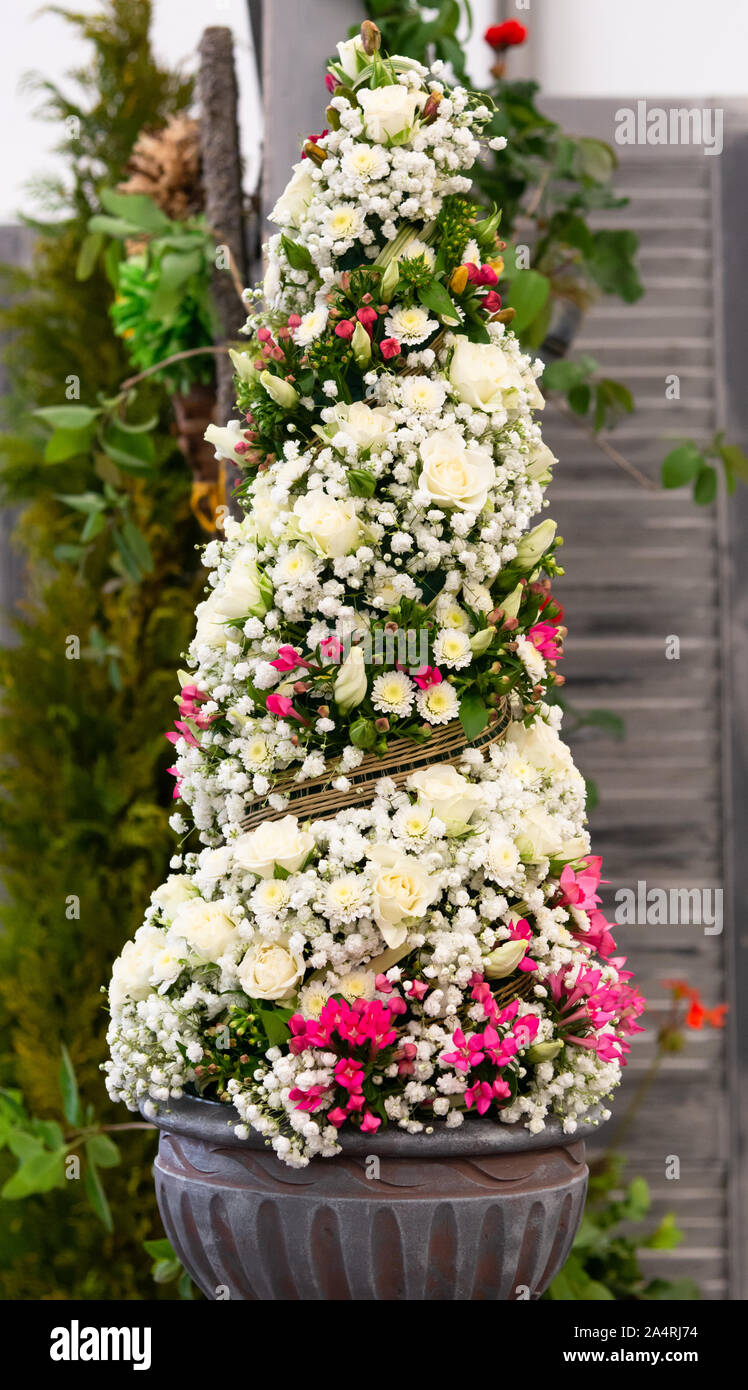 Conical bloom hi-res stock photography and images - Alamy