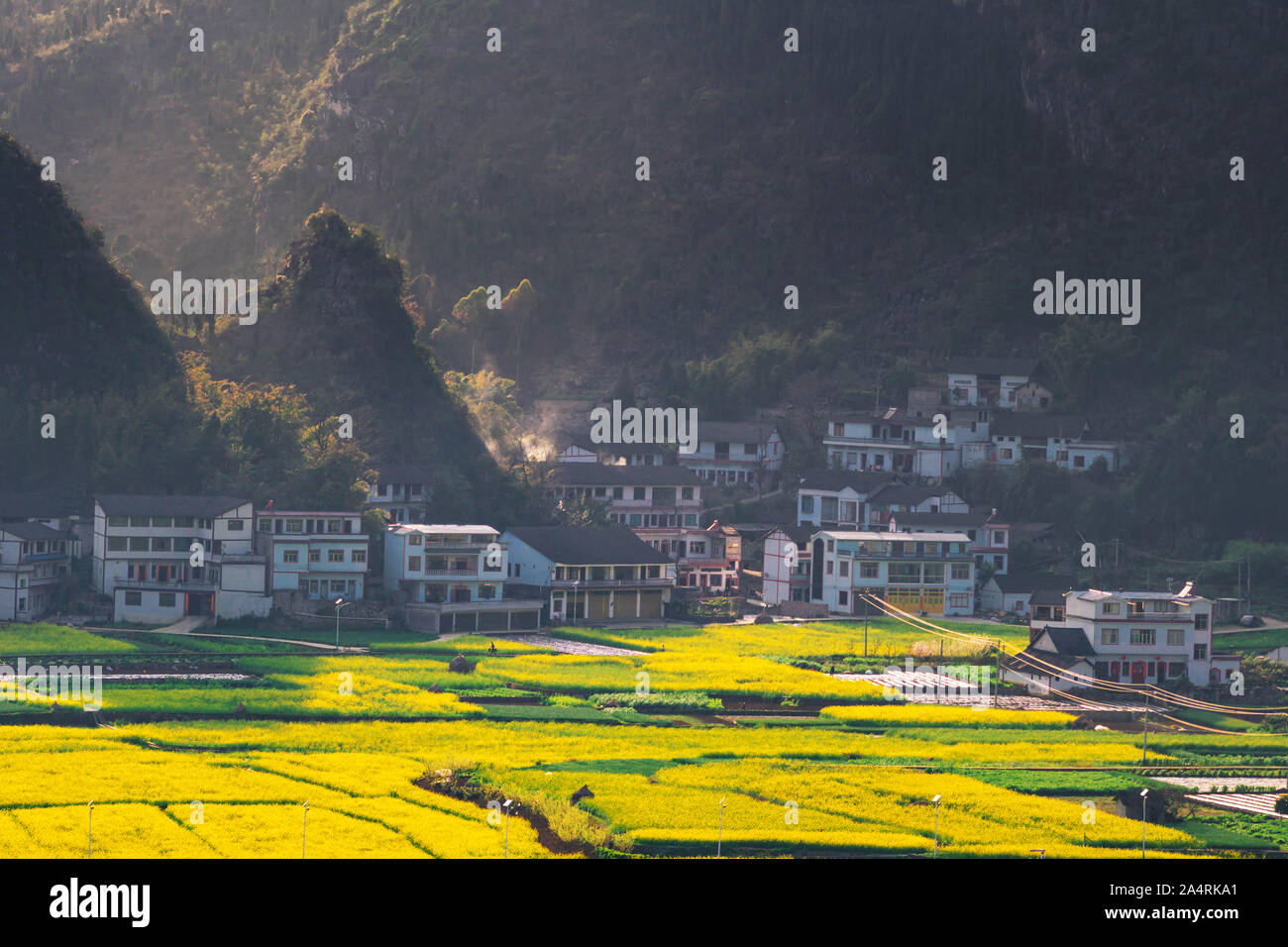 Rapeseed flower field and villages at Wanfenglin National Geological ...