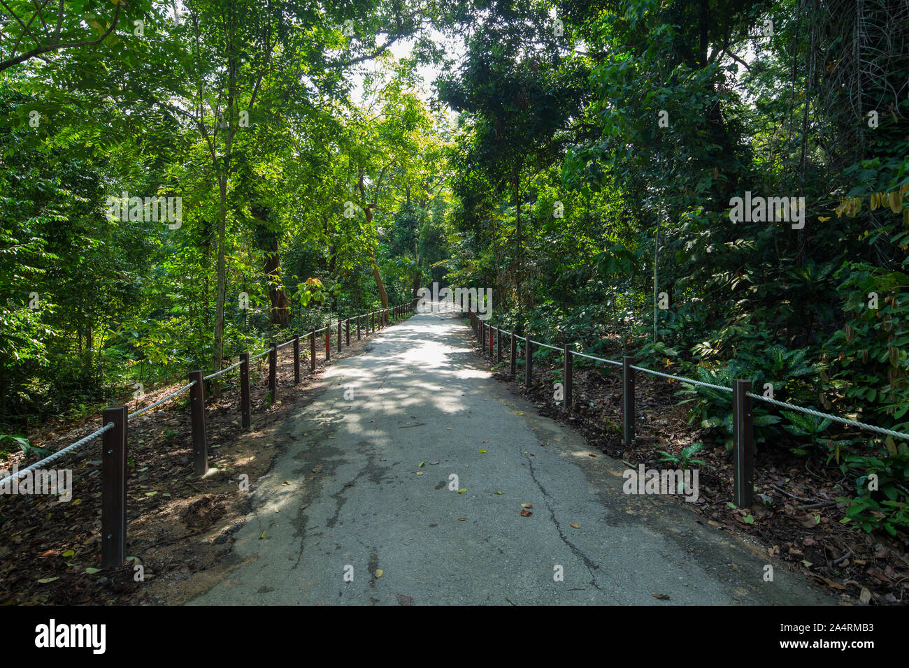 Clean pathway hi-res stock photography and images - Alamy