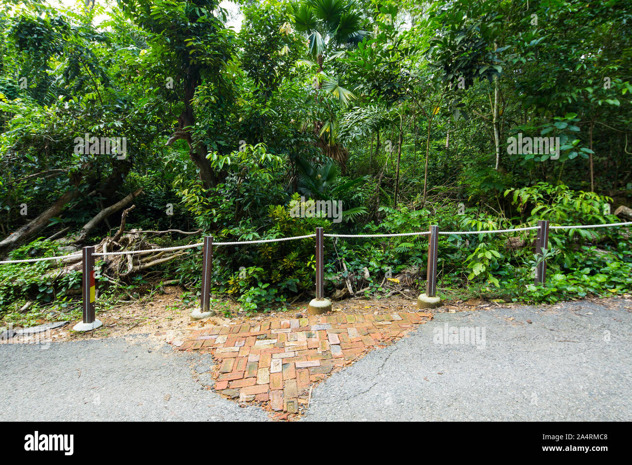Original bricks preserve on floor were retain from the old Hainan ...