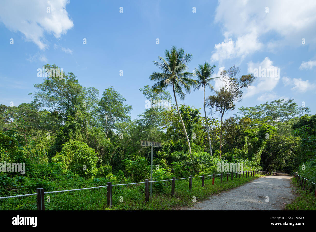 Vast view. Designated trail boundary to protect biodiversity and ...