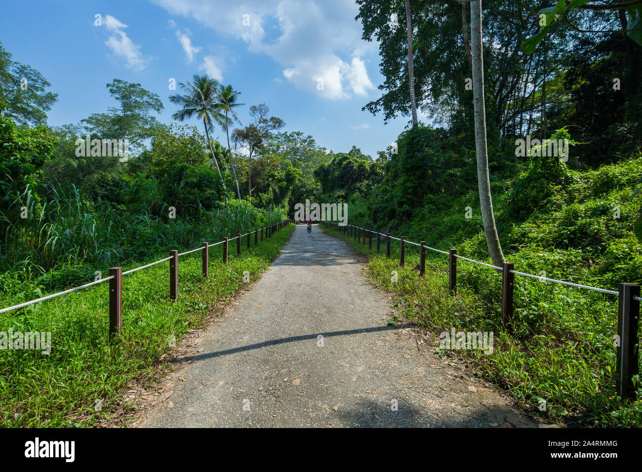 Lush habitats hi-res stock photography and images - Alamy
