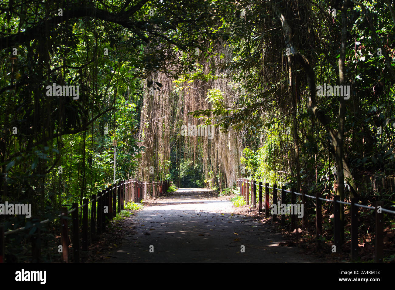 Proper man-made trail path for people to enjoy a good walk or hike in ...