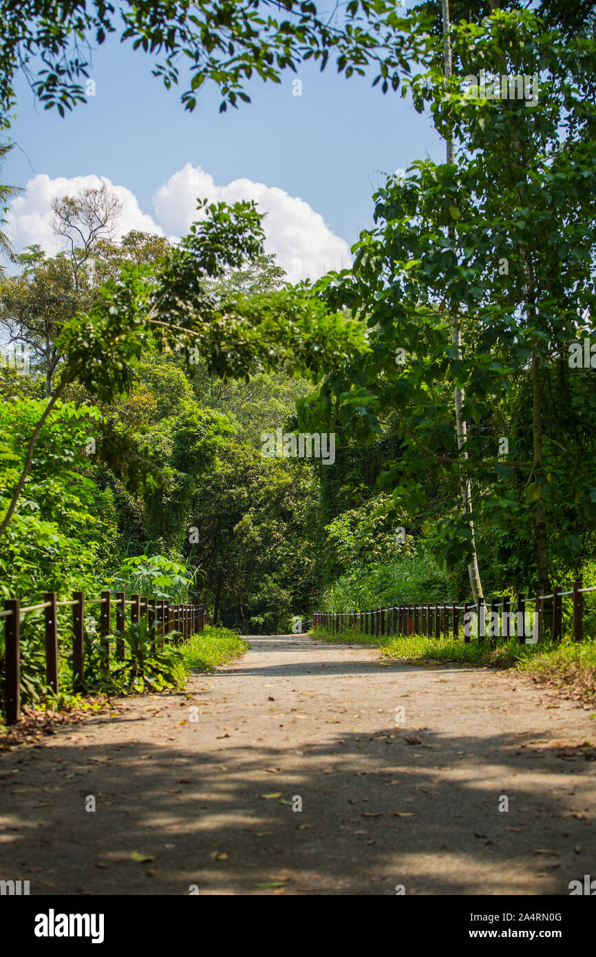 Spacious designated trail for people to explore safely in Thomson ...