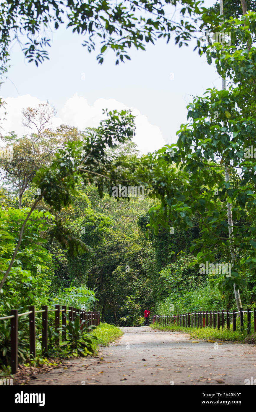 Vertical view of a man-made level terrain trail with boundary at ...