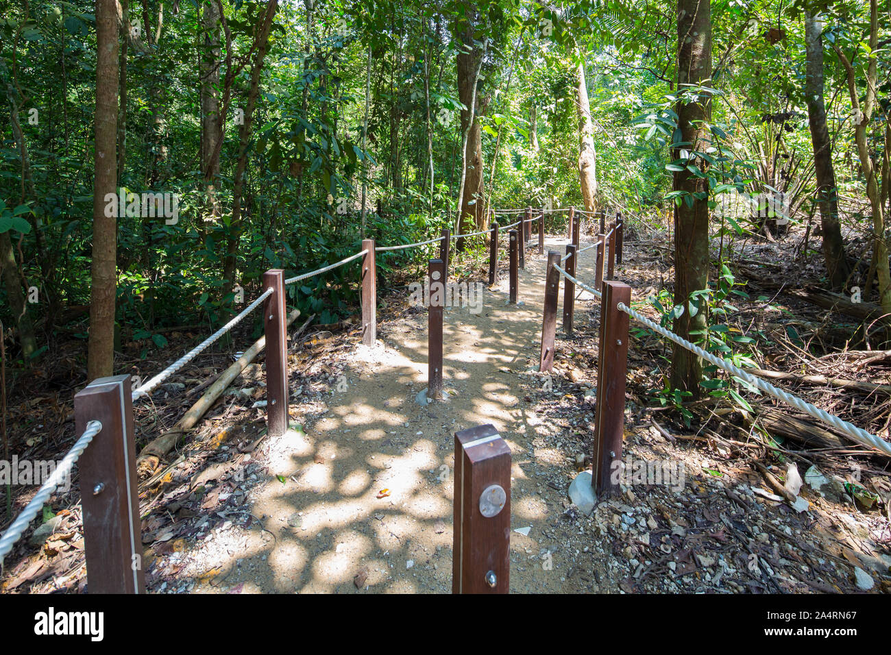 A man-made trail with boundary in the rainforest at Thomson Nature Park ...