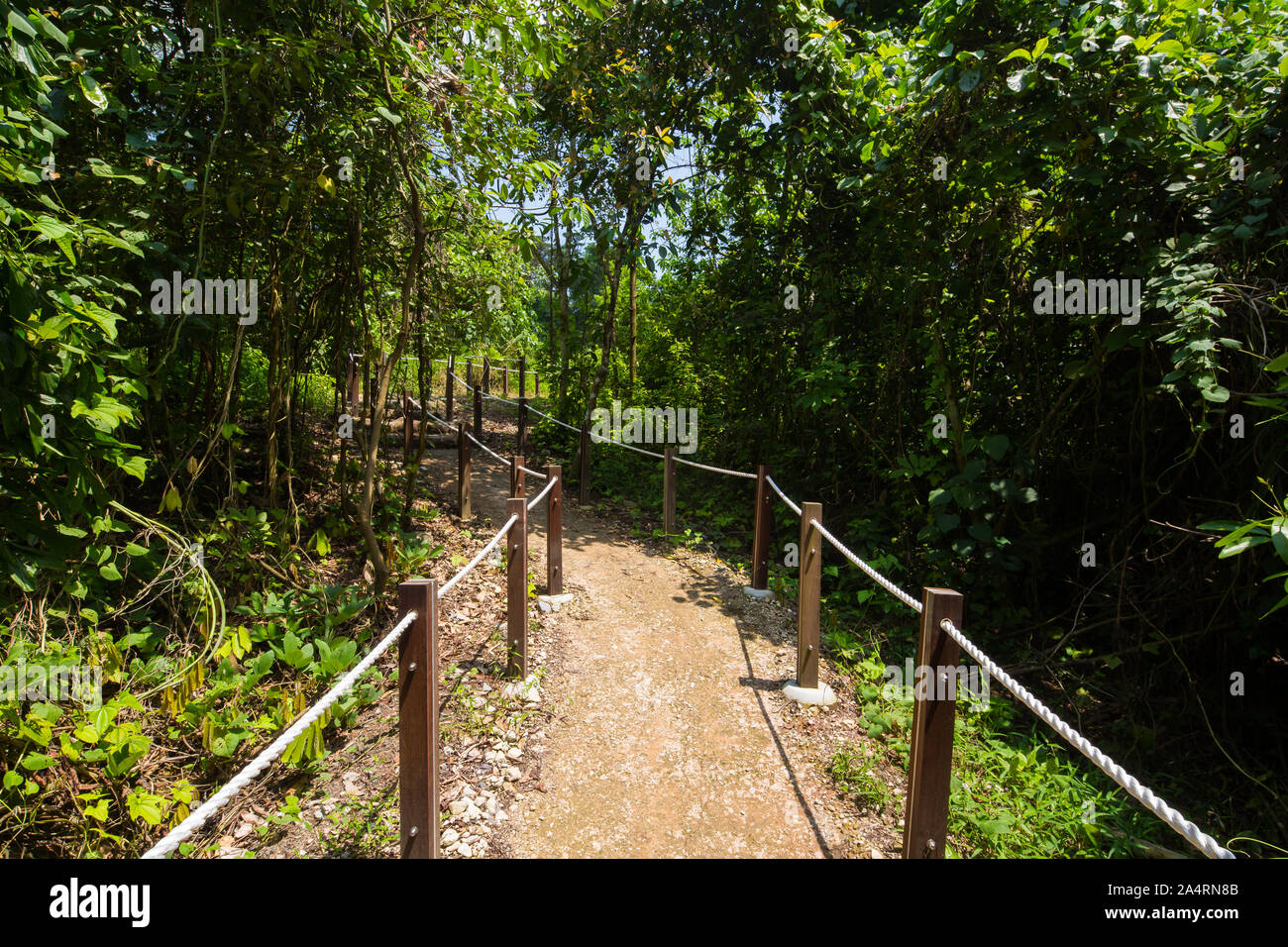 A man-made trail with boundary at the side to protect the biodiversity ...