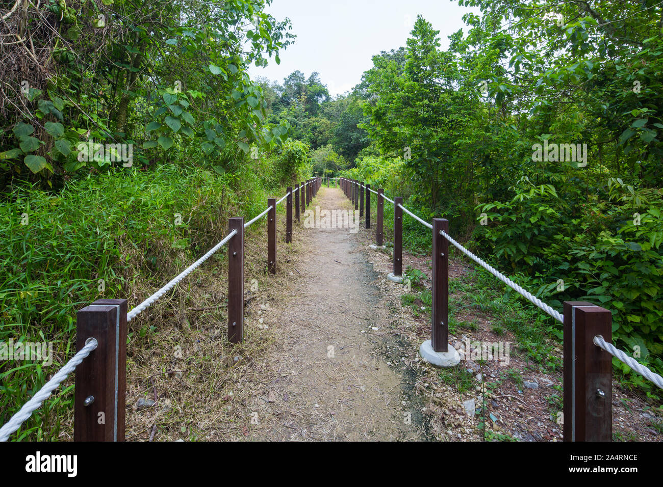 Long stretch of controlled greenery landscaping trail for user to ...