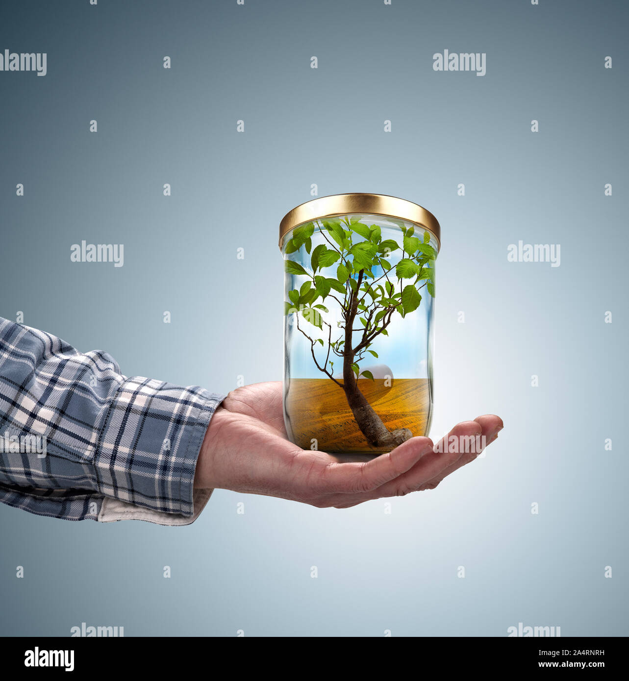 Holding a Tree in a jar, Concept for growing, ecology or zero waste ...