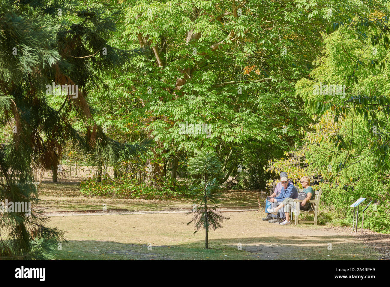 Botanic people hi-res stock photography and images - Alamy