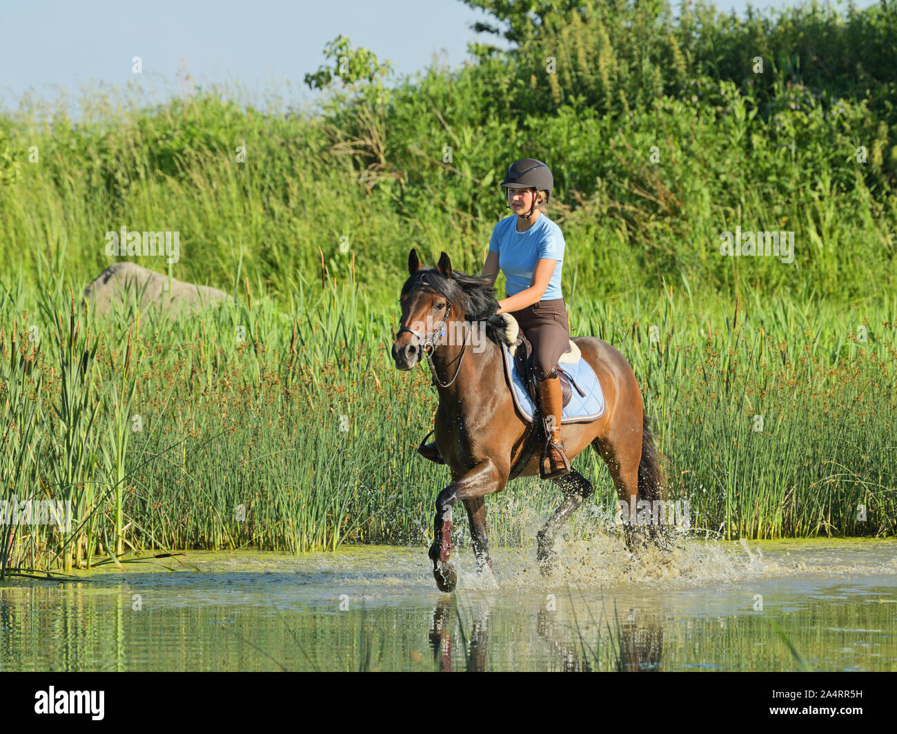 Riding in water hi-res stock photography and images - Alamy
