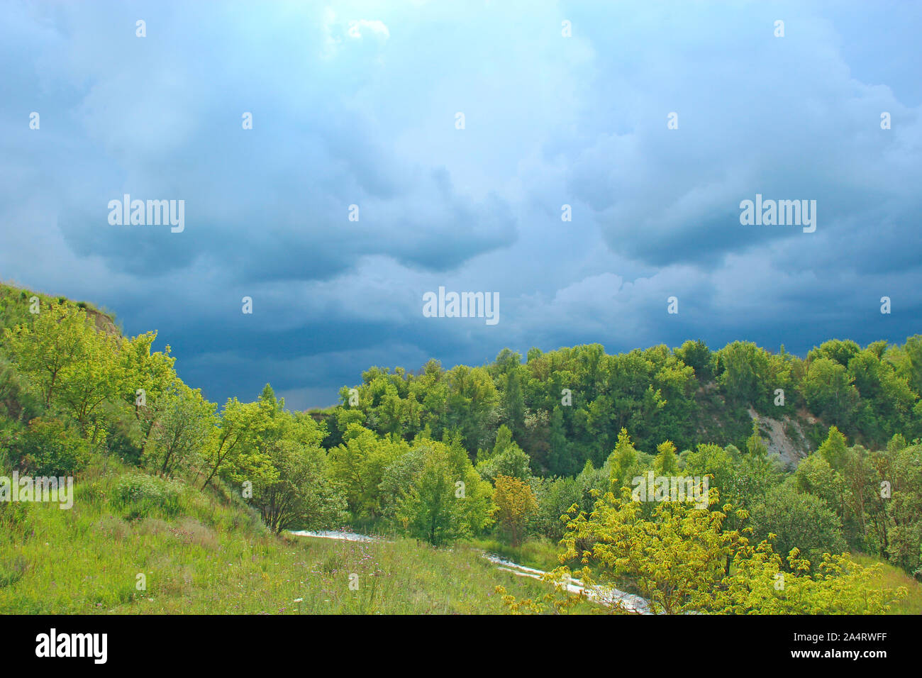 Landscape with thundercloud over green forest. Storm cloud above green ...