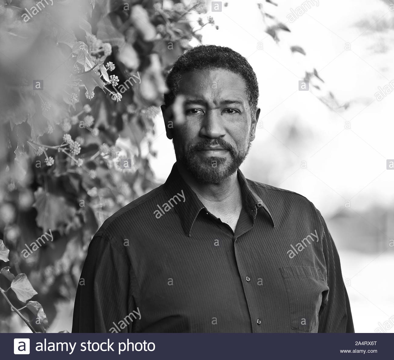 Doss Stock Photos & Doss Stock Images - Alamy