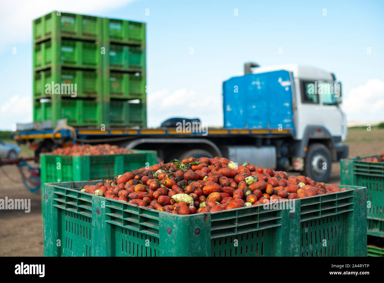 Tomato harvest truck hi-res stock photography and images - Alamy
