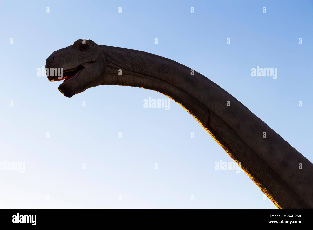 Long neck dinosaur fossil hi-res stock photography and images - Alamy