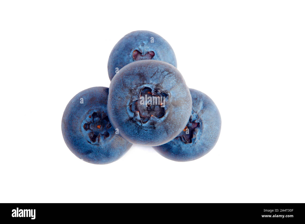 Four blueberries in a pile isolated on white background Stock Photo - Alamy