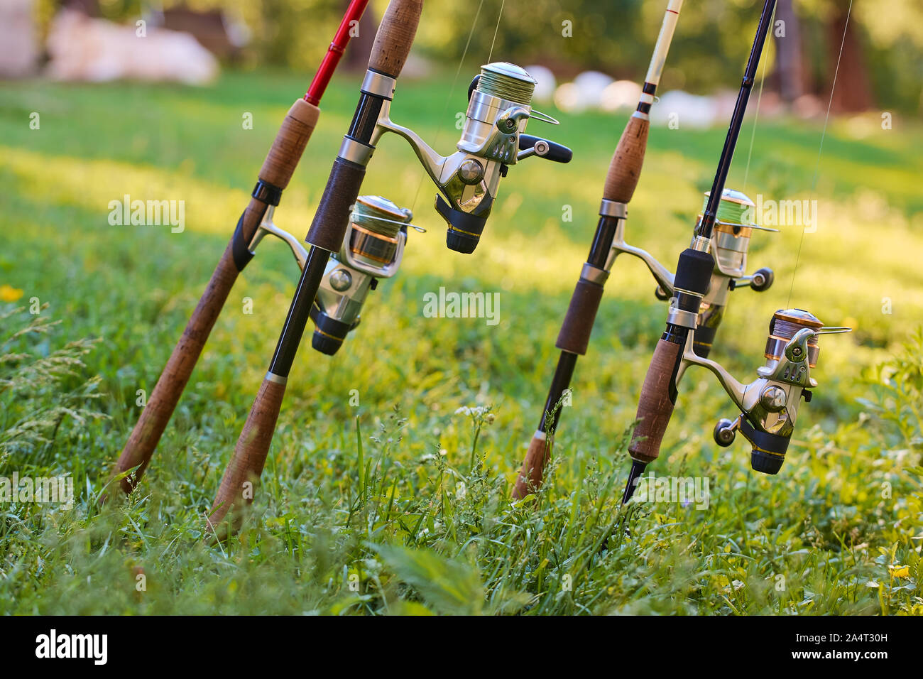 Various fishing rods and reels on the background of green grass Stock ...