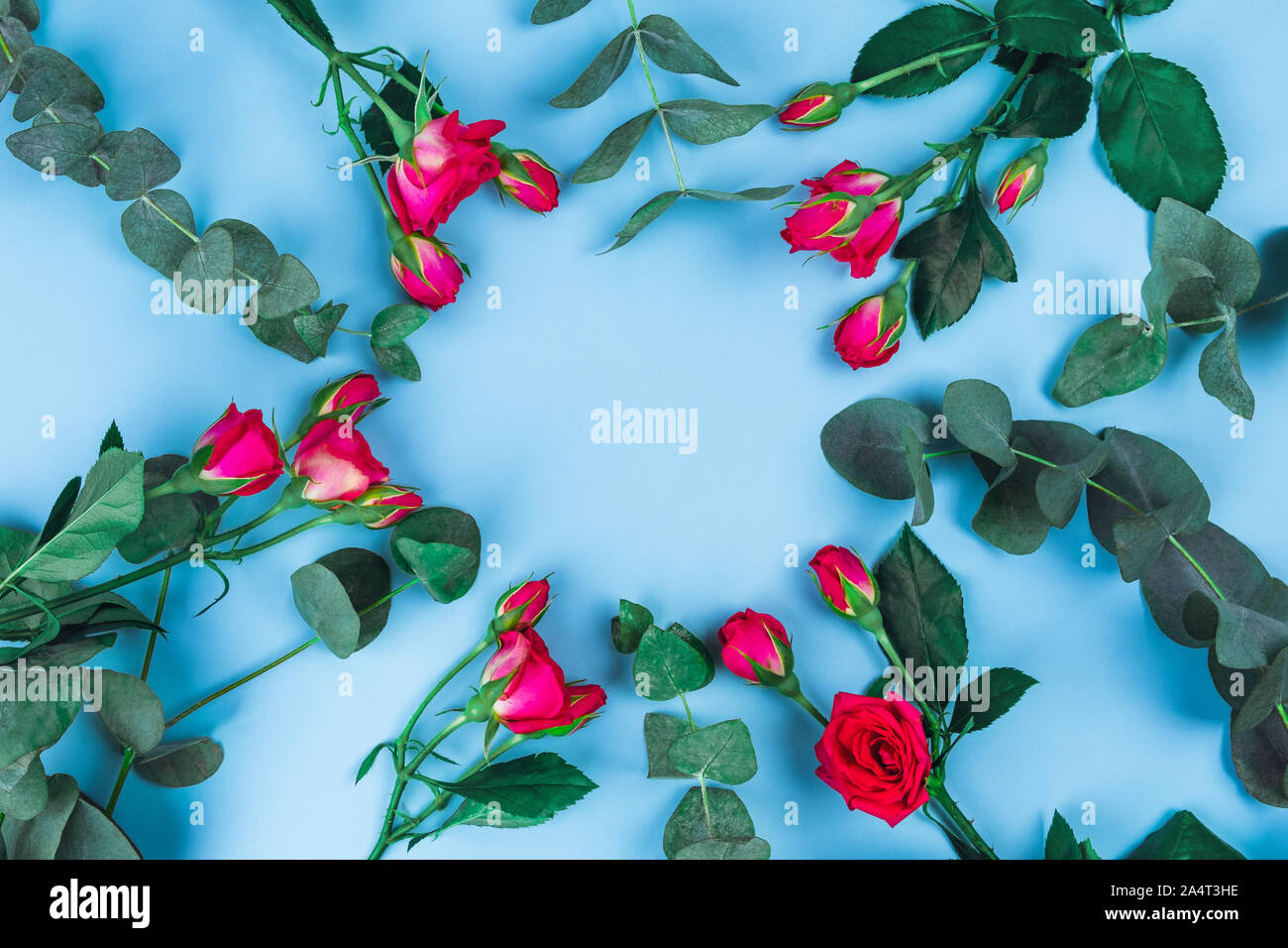 Greeting card with blue background with sprigs of eucalyptus and roses ...