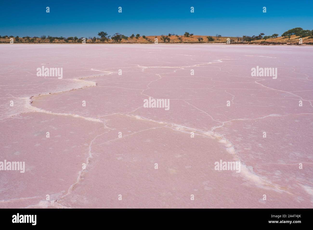 Pink salt lake in Australian Desert - closeup of the surface texture ...
