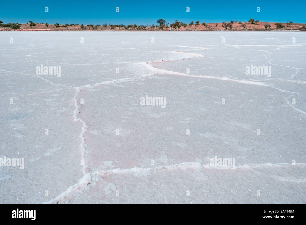 Salt lake surface closeup in Australia Stock Photo - Alamy