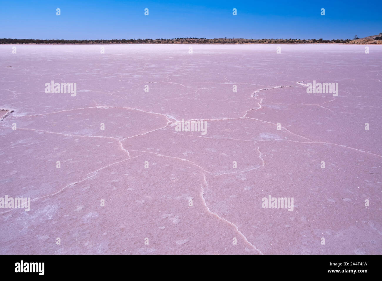 Salt patterns on the surface of pink lake Crosbie in Murray-Sunset ...