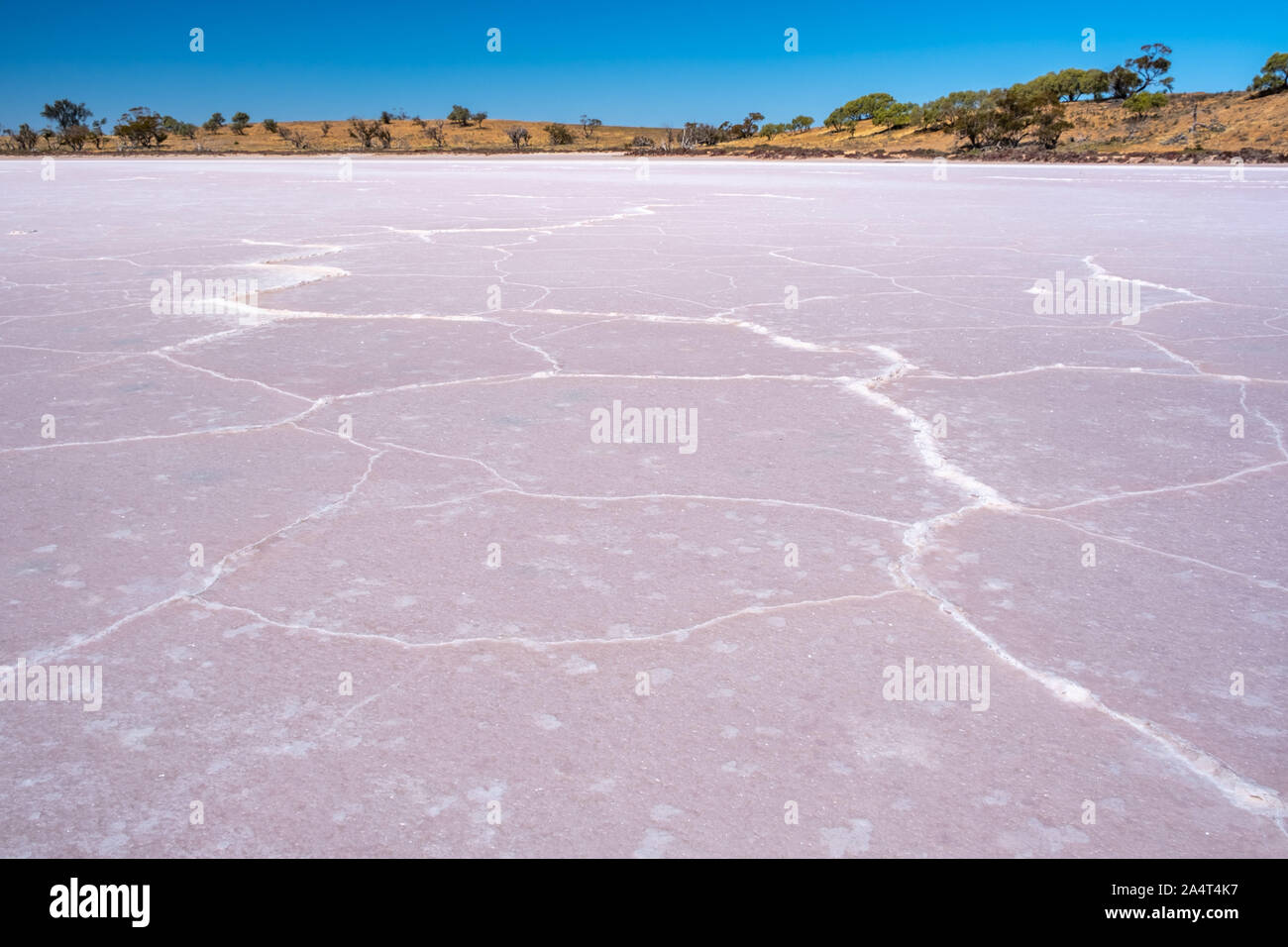 Crosbie hi-res stock photography and images - Alamy