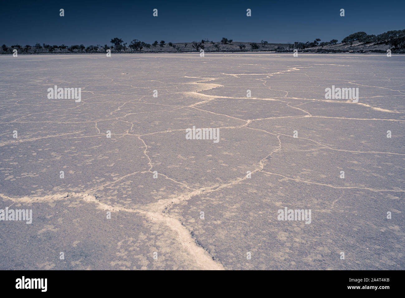 Salt cracks pattern on the lake surface in Australia Stock Photo - Alamy