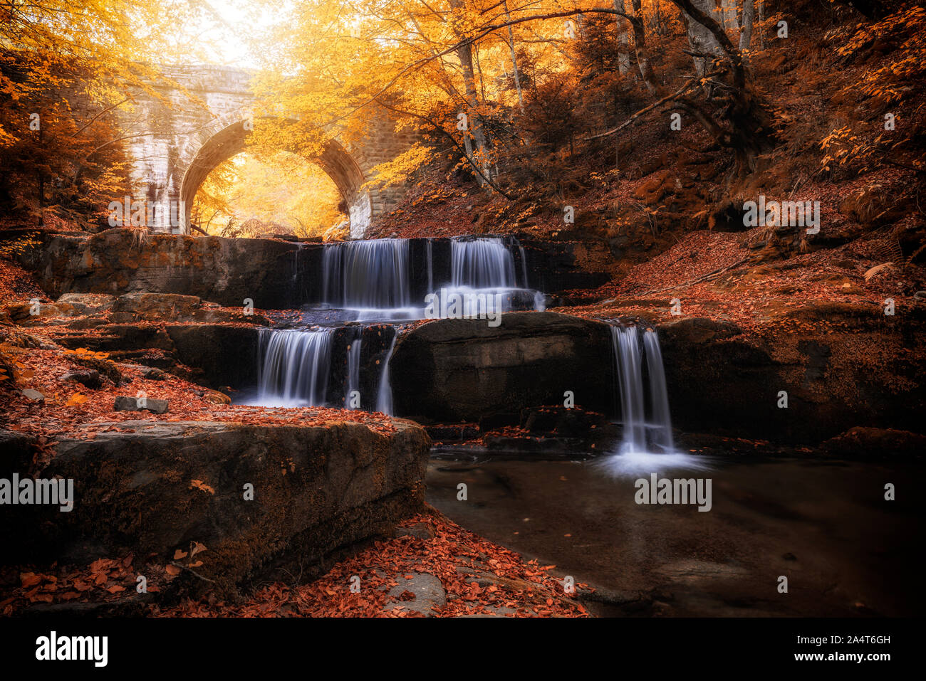 Beautiful forest in autumn with river and waterfall cascade stream in ...