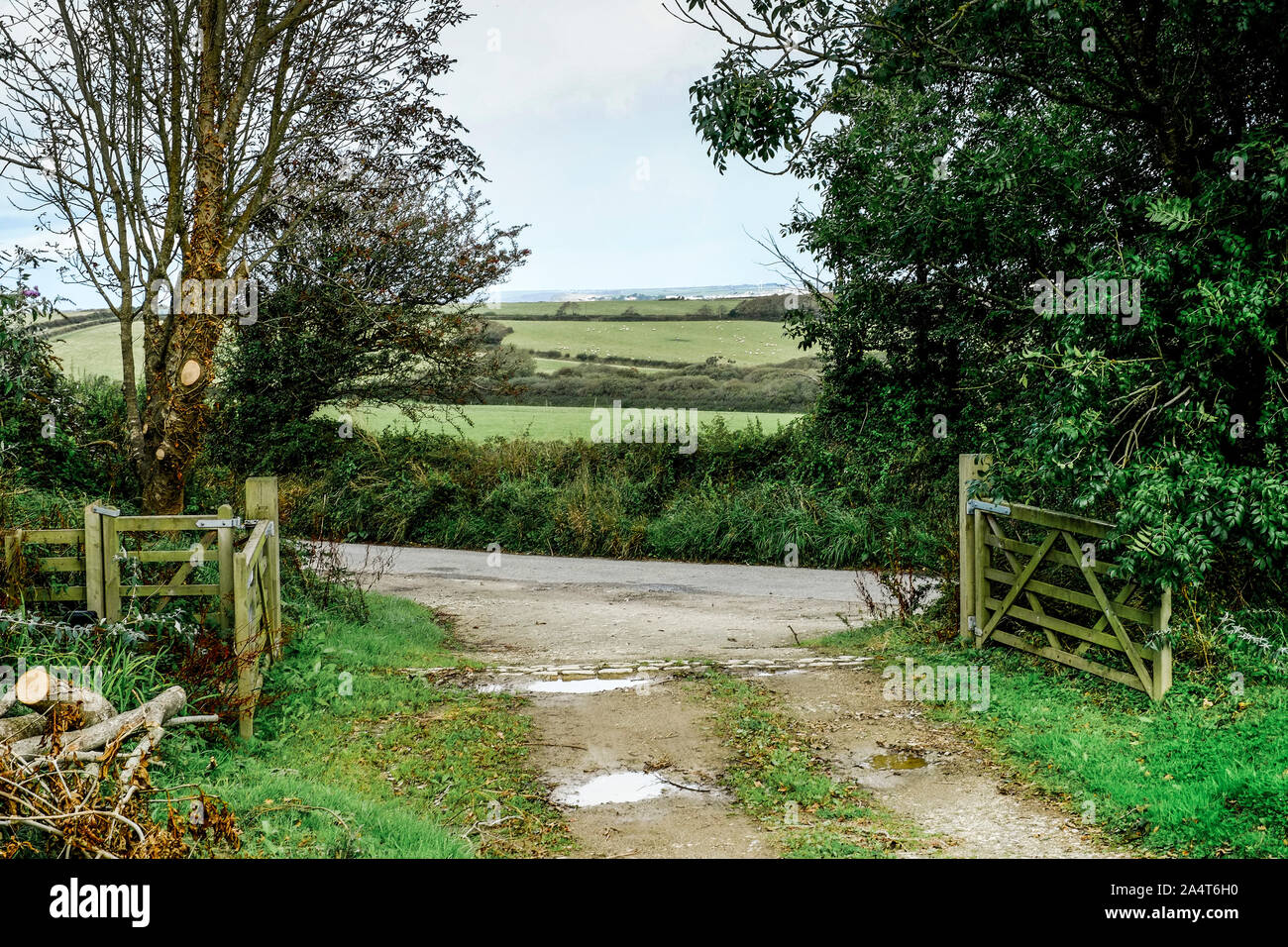 The Cornish countryside Stock Photo - Alamy