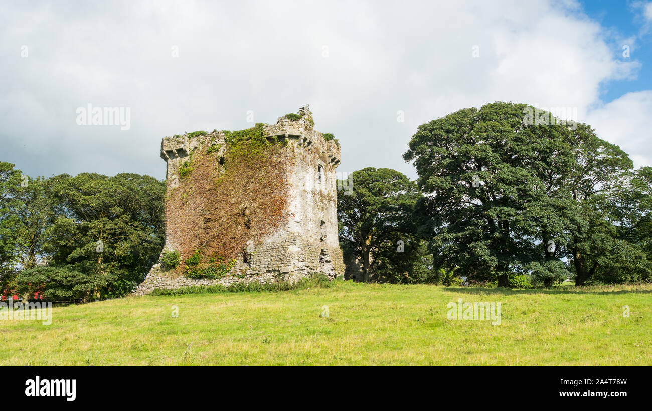 Shrule Castle is a ruined tower castle in Shrule in County Mayo ...
