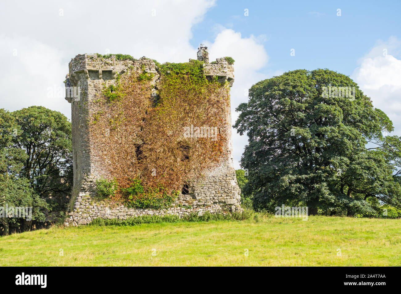Shrule Castle is a ruined tower castle in Shrule in County Mayo ...