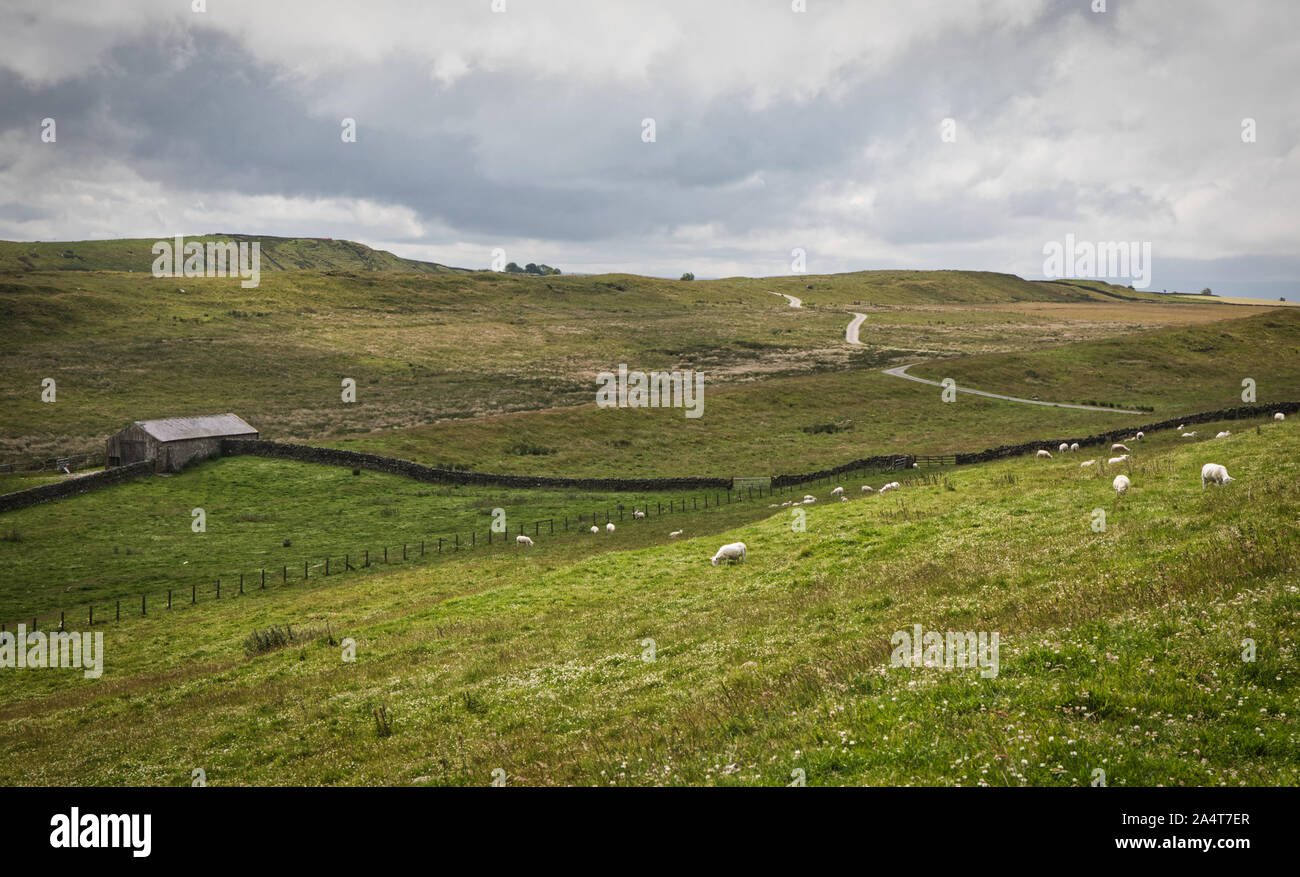 Hadrians wall landscape housesteads hi-res stock photography and images ...