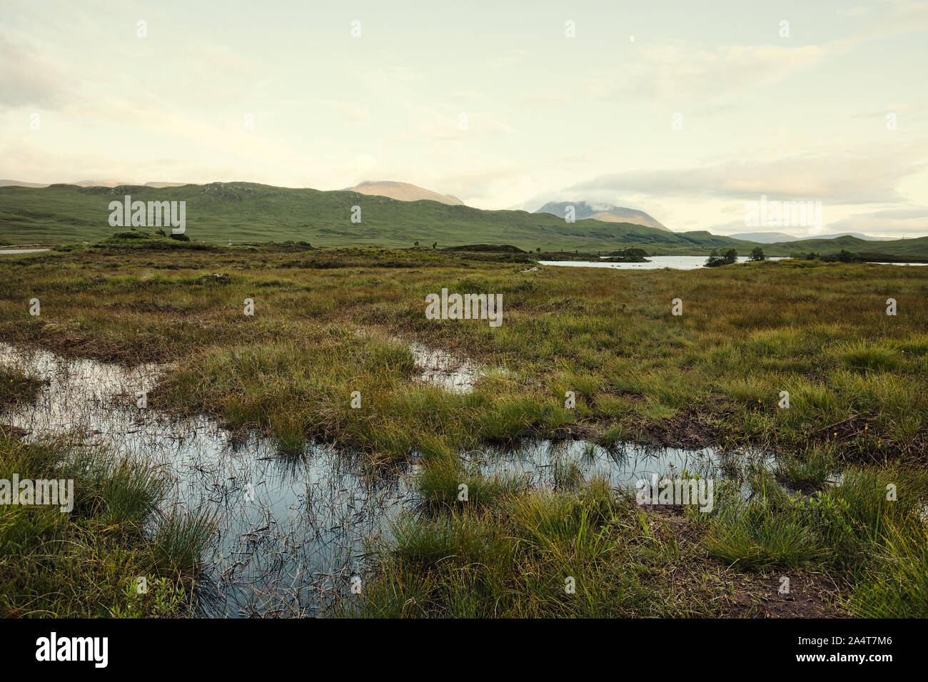 Scottish Highlands marshes at dusk, Highlands, Scotland Stock Photo - Alamy