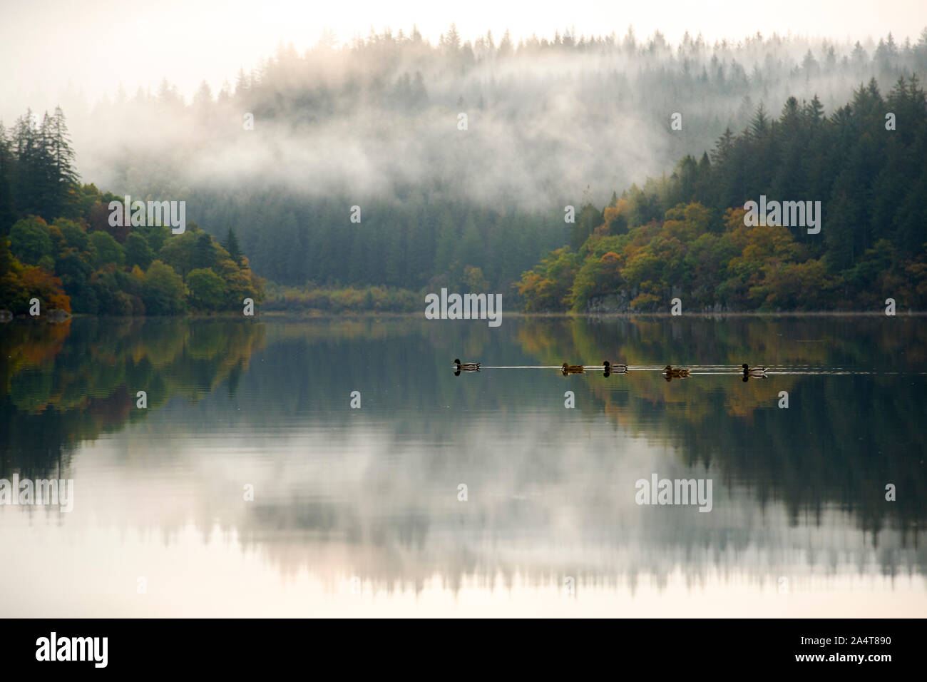 Credit ard hi-res stock photography and images - Alamy